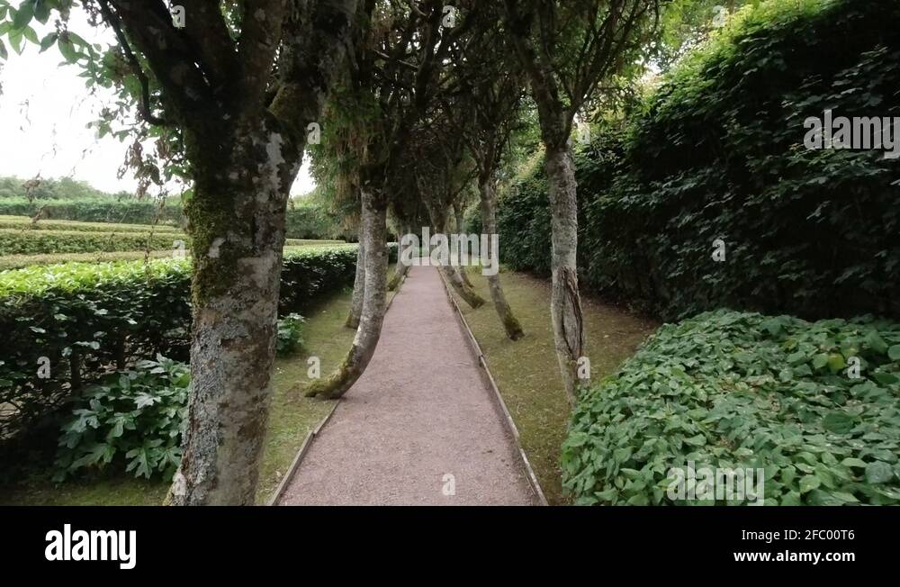 A walk through the trees at Conway Castle in Scotland Stock Video ...
