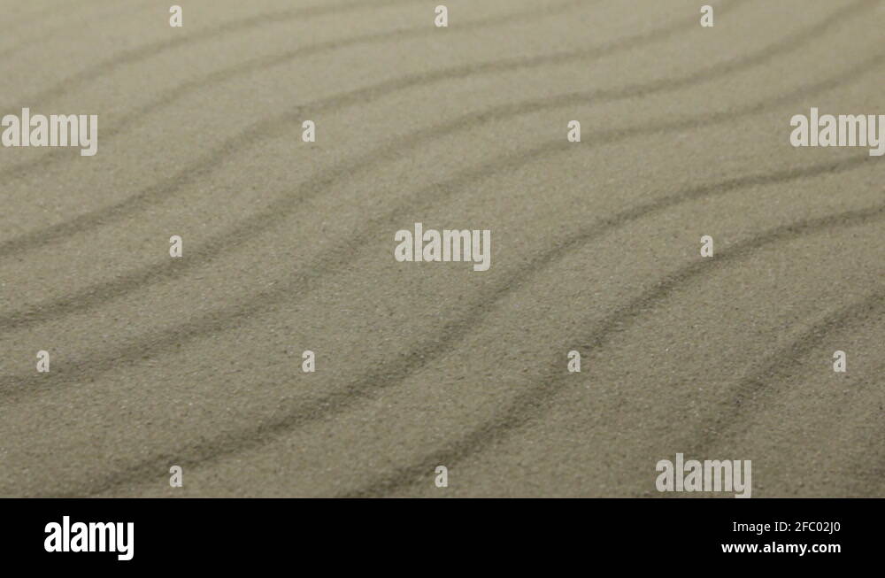 Draw lines in the sand Stock Videos & Footage - HD and 4K Video Clips ...