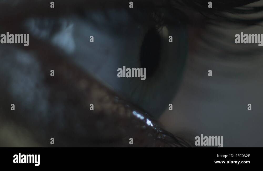 Large eye eye Stock Videos & Footage - HD and 4K Video Clips - Alamy
