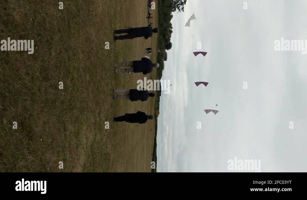 Vertical flying kites Stock Videos & Footage - HD and 4K Video Clips ...