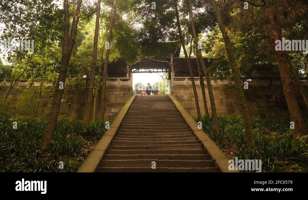Stairs stone gate bush Stock Videos & Footage - HD and 4K Video Clips ...