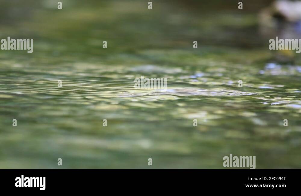 Whirlpool river Stock Videos & Footage - HD and 4K Video Clips - Alamy
