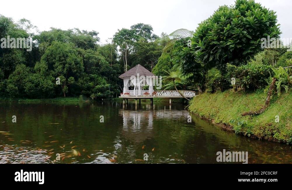 Beautiful scenery pond gazebo water Stock Videos & Footage - HD and 4K ...