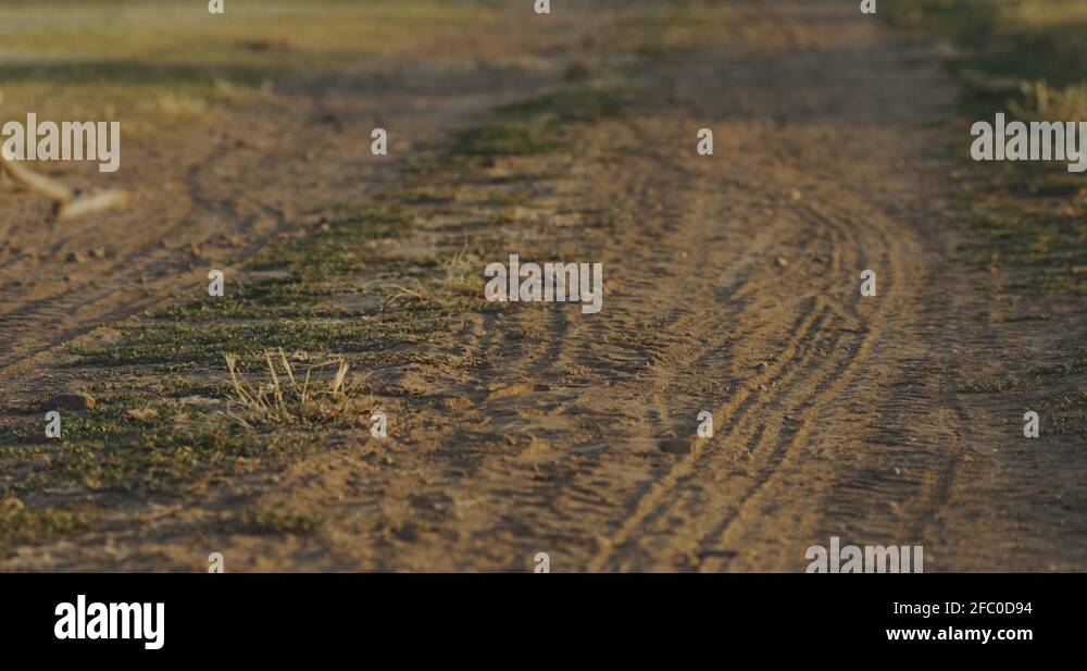 Drawing outside the lines Stock Videos & Footage - HD and 4K Video ...