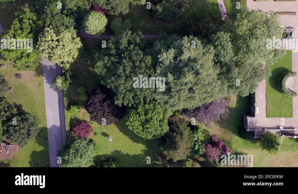 Terrace garden birds Stock Videos & Footage - HD and 4K Video Clips - Alamy