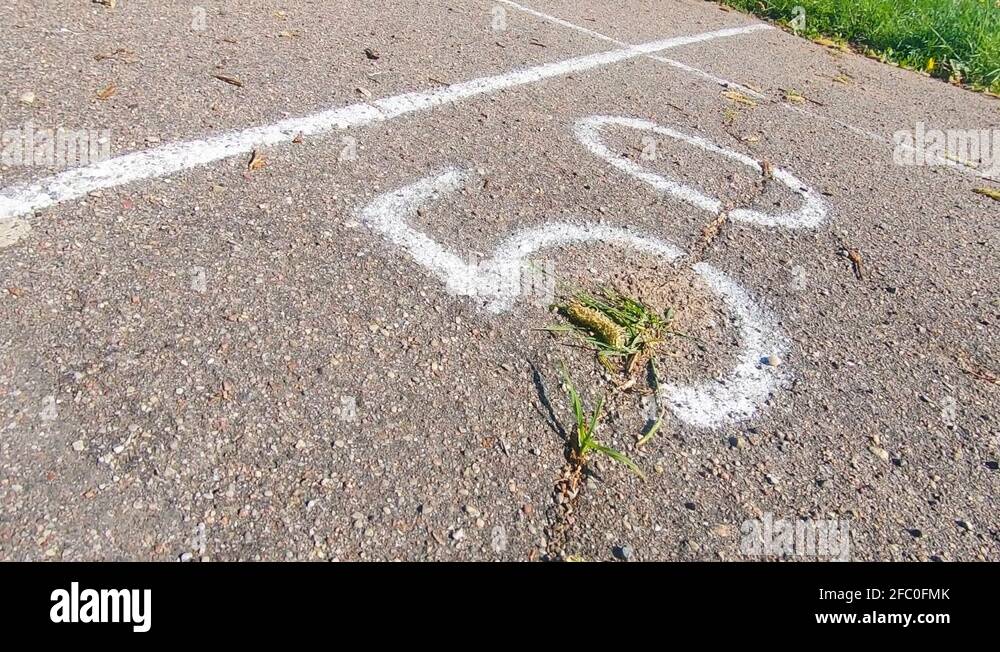 Walking track marking Stock Videos & Footage - HD and 4K Video Clips ...