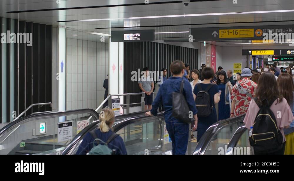 Underground temple japan Stock Videos & Footage - HD and 4K Video Clips ...