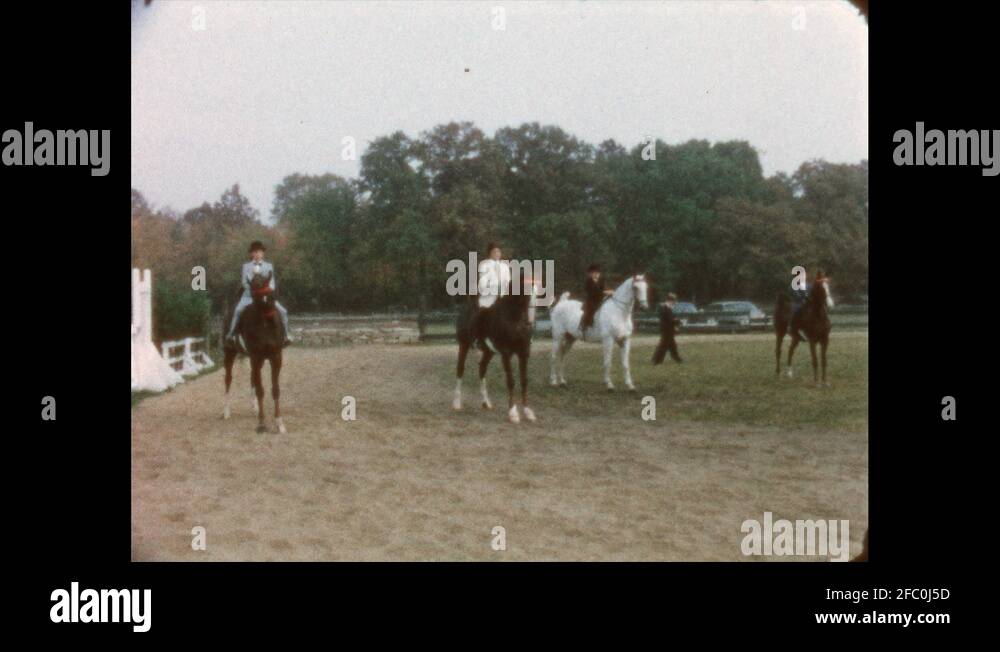 Judging ring Stock Videos & Footage - HD and 4K Video Clips - Alamy