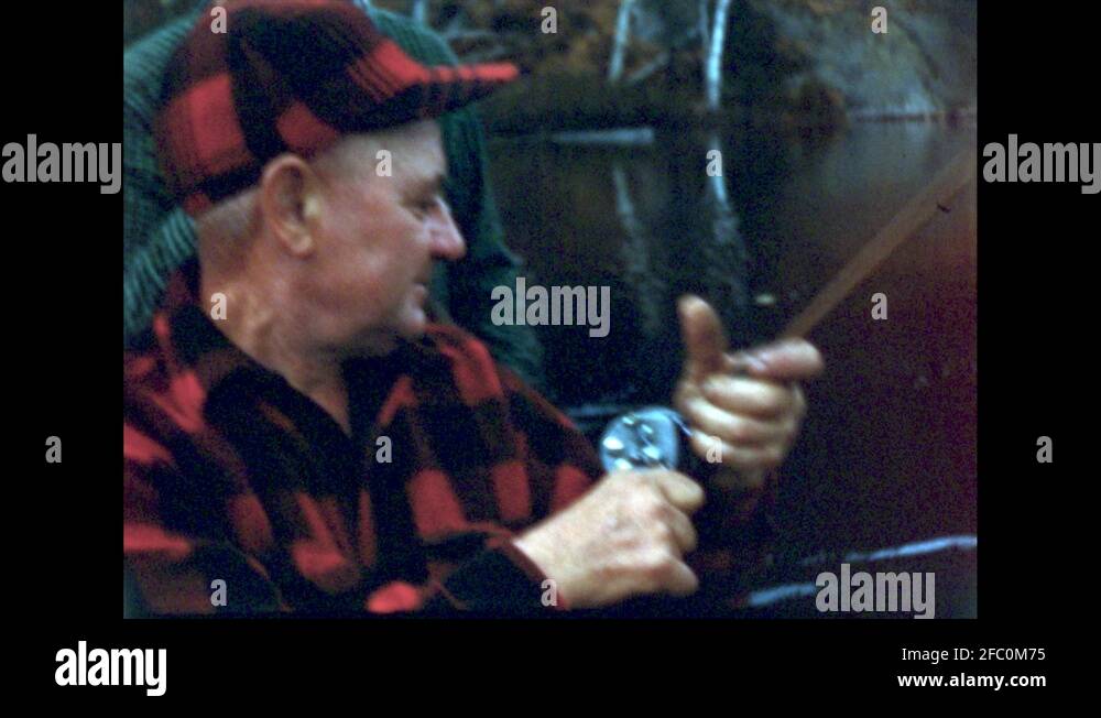 Shore fish Stock Videos & Footage - HD and 4K Video Clips - Alamy