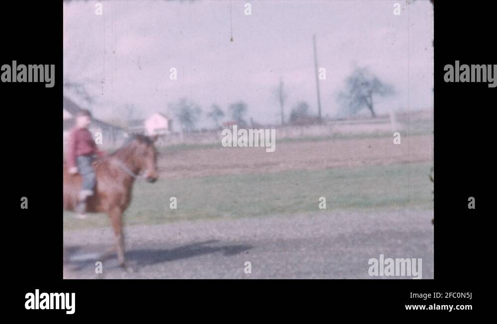 Home horse house horses Stock Videos & Footage - HD and 4K Video Clips ...