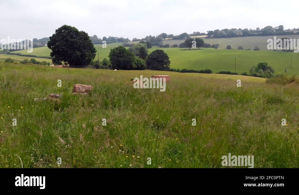 Fields hedges trees countryside Stock Videos & Footage - HD and 4K ...