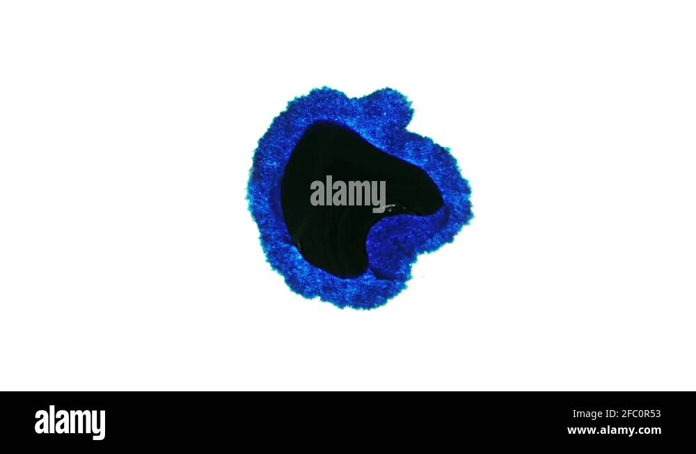 Mottled ink Stock Videos & Footage - HD and 4K Video Clips - Alamy