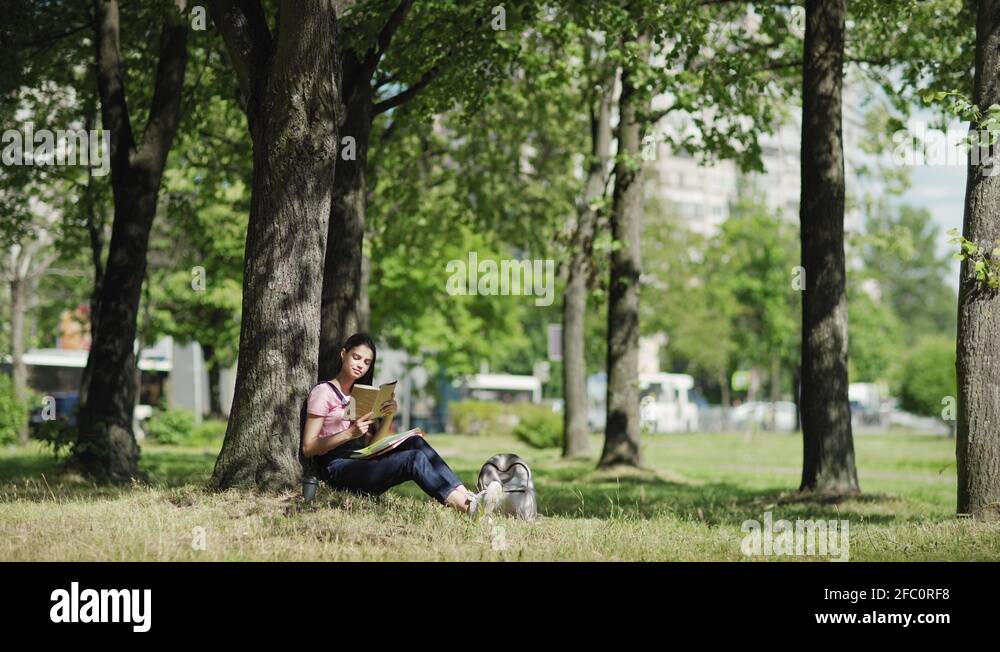 Girl reading under tree Stock Videos & Footage - HD and 4K Video Clips ...