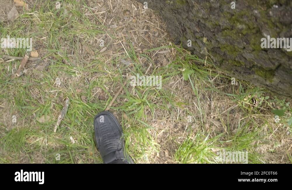 Hiding behind legs Stock Videos & Footage - HD and 4K Video Clips - Alamy