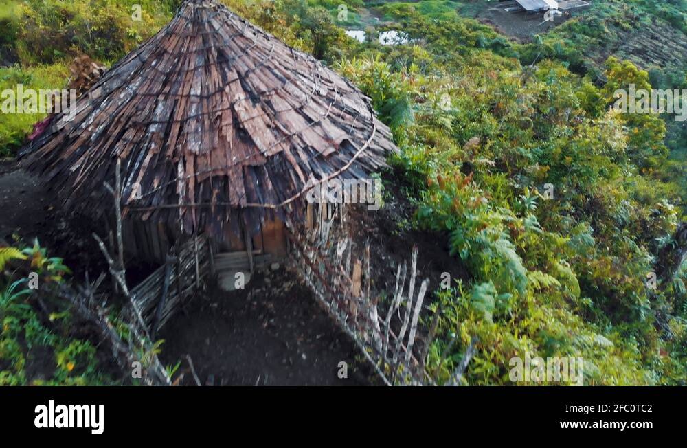Traditional hut in papua Stock Videos & Footage - HD and 4K Video Clips ...