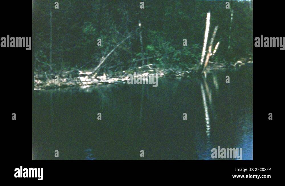 1940s: UNITED STATES: view across still lake. Men walk through bushes ...
