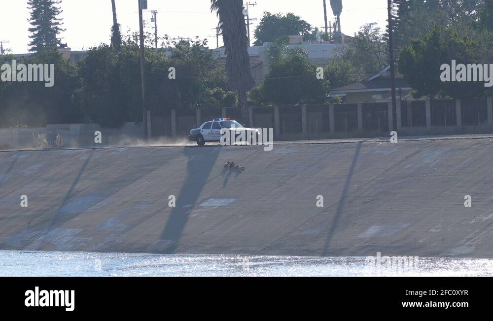 Rio police car Stock Videos & Footage - HD and 4K Video Clips - Alamy