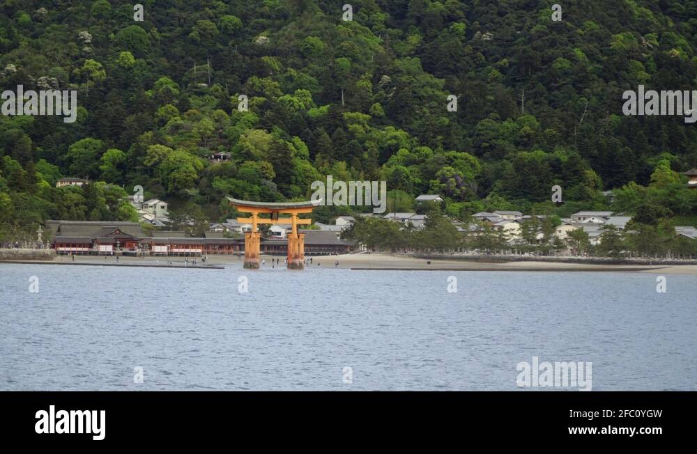 Torii gate shinto shrine gate Stock Videos & Footage - HD and 4K Video ...