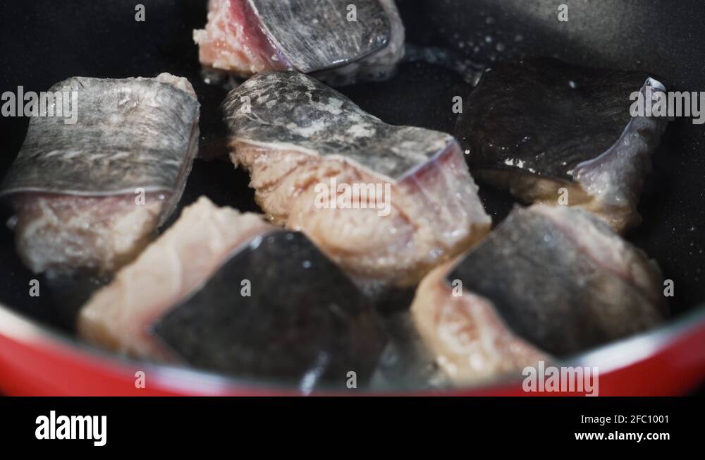 Common Fatty Fish at Gilberto Morales blog