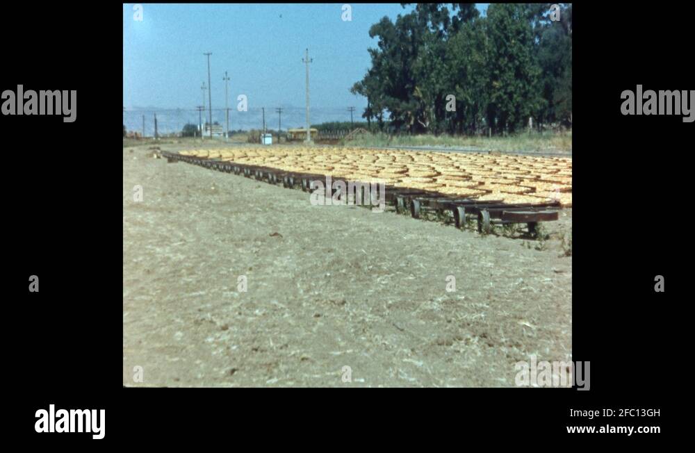 Crops drying Stock Videos & Footage - HD and 4K Video Clips - Alamy