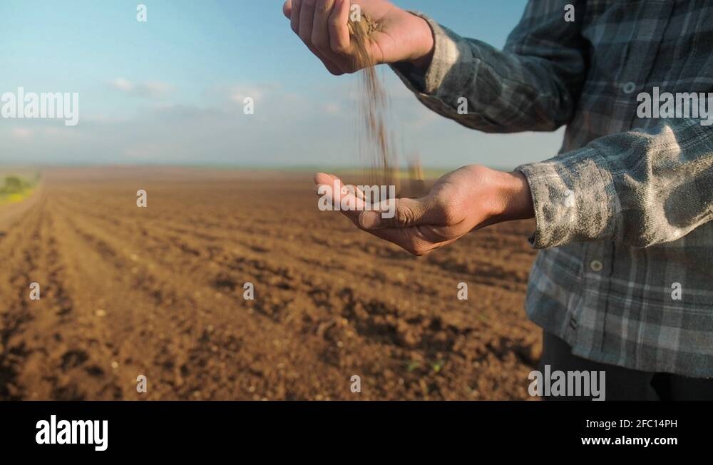 Soil holding hand agriculture Stock Videos & Footage - HD and 4K Video ...
