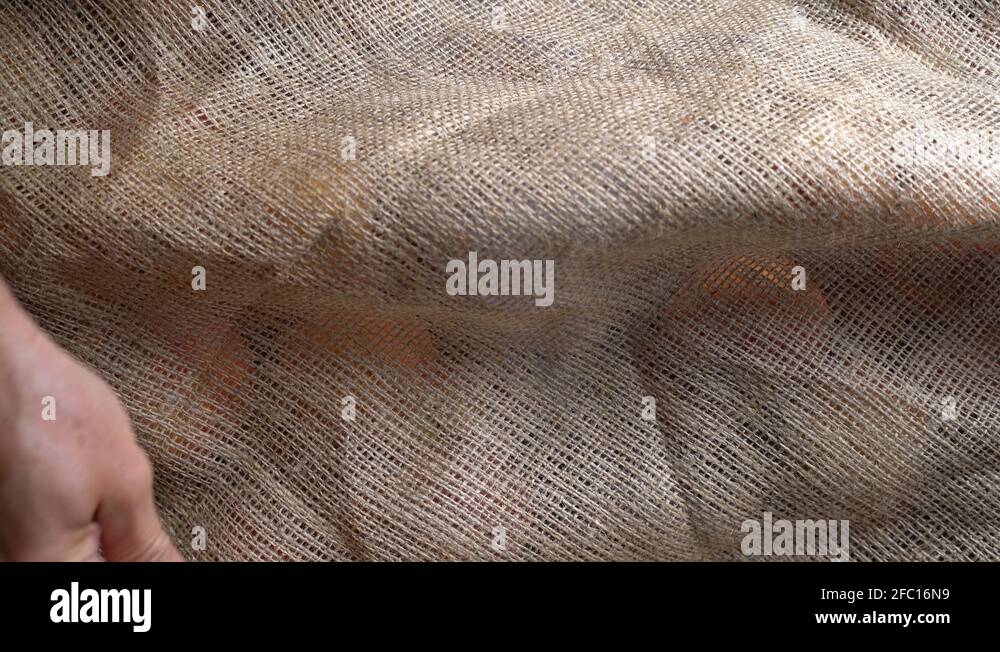 Pulled by the arm Stock Videos & Footage - HD and 4K Video Clips - Alamy