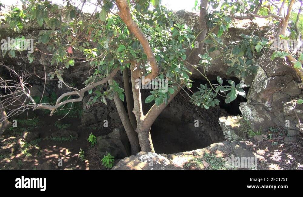 Ceremonial cave Stock Videos & Footage - HD and 4K Video Clips - Alamy