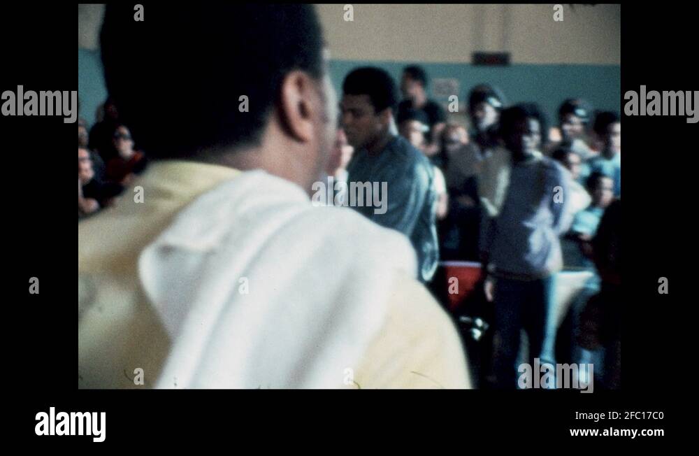 Ali walks Stock Videos & Footage - HD and 4K Video Clips - Alamy