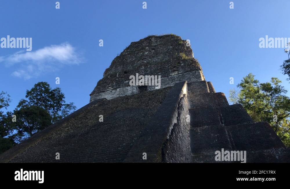Mayan temple maya temple forest guatemala tikal rainforest Stock Videos ...