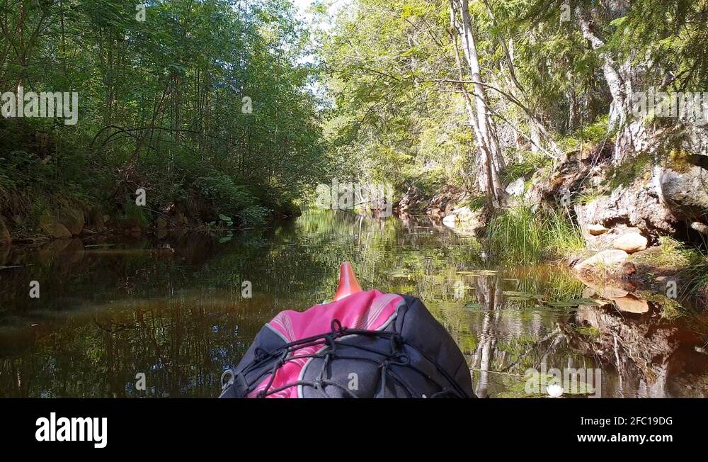 Kayak floating in still water in the most beautiful forest jungle ...