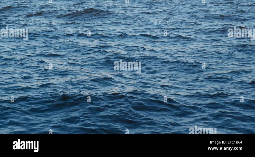 Surface tension ripple Stock Videos & Footage - HD and 4K Video Clips ...