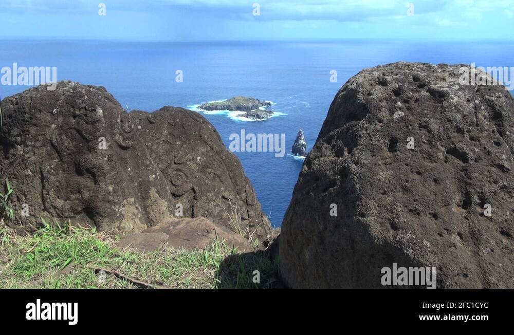 Bird cult Stock Videos & Footage - HD and 4K Video Clips - Alamy