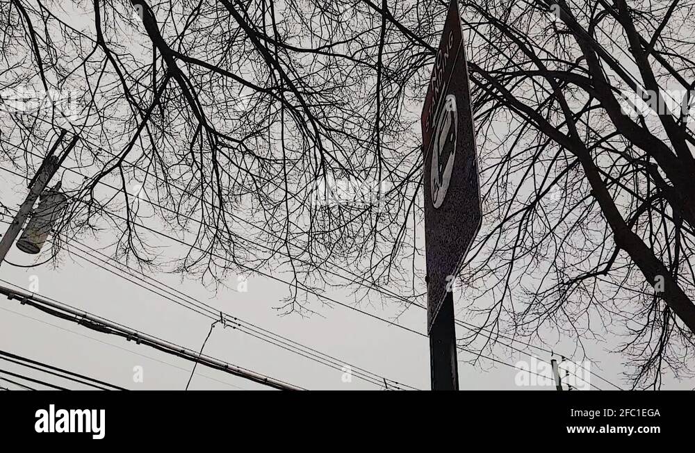 Bus stop sign nyc Stock Videos & Footage - HD and 4K Video Clips - Alamy