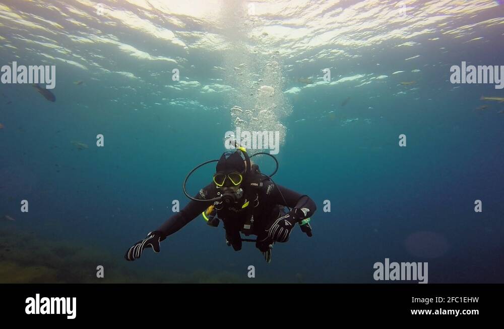 Subaquatic camera Stock Videos & Footage - HD and 4K Video Clips - Alamy