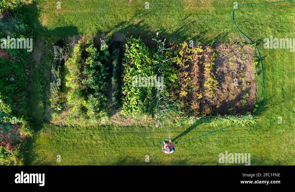 Vegetable patch background Stock Videos & Footage - HD and 4K Video ...