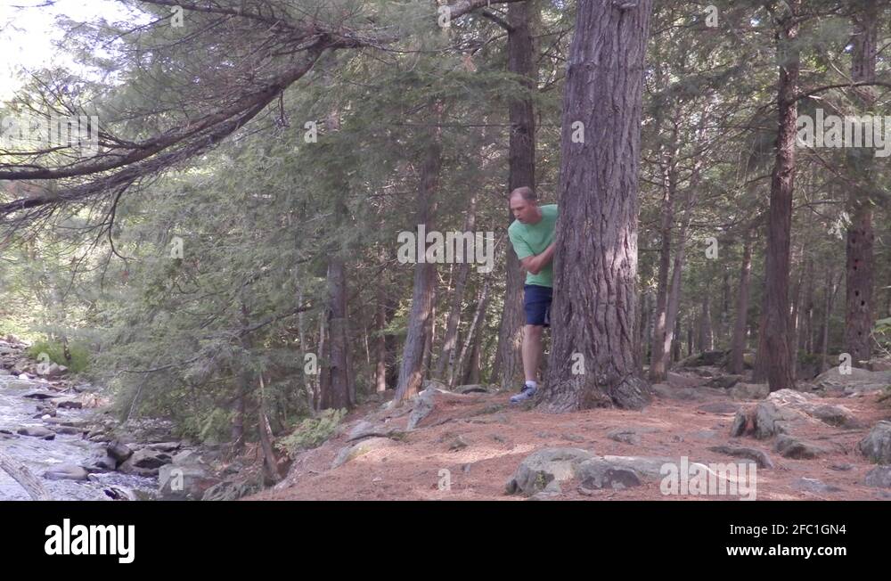 Screaming trees Stock Videos & Footage - HD and 4K Video Clips - Alamy