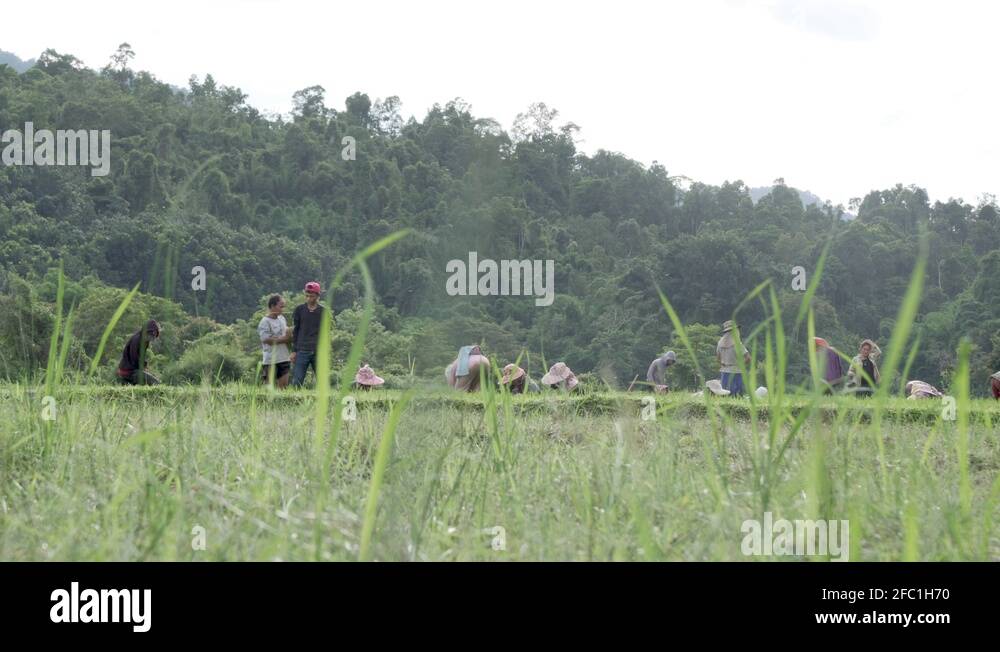 Work on the land Stock Videos & Footage - HD and 4K Video Clips - Alamy