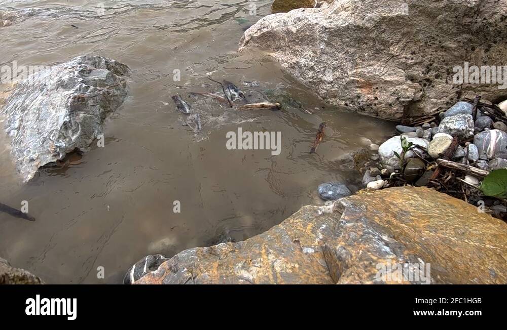 Float and flood Stock Videos & Footage - HD and 4K Video Clips - Alamy