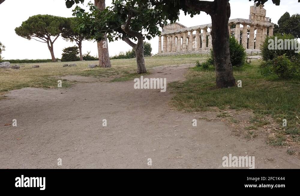 Greek temple grass Stock Videos & Footage - HD and 4K Video Clips - Alamy
