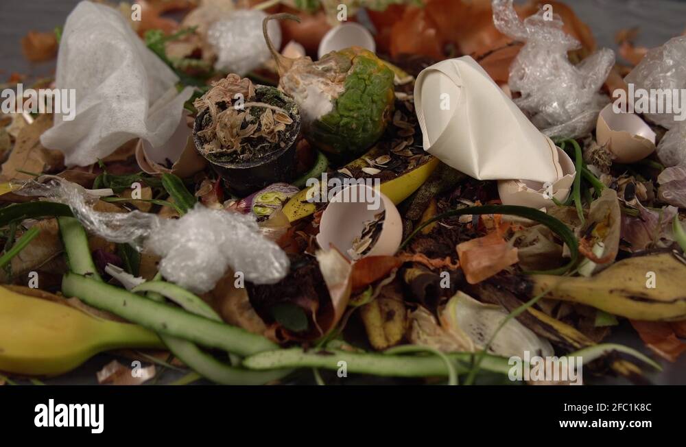 Green food waste recycling dustbin Stock Videos & Footage - HD and 4K ...