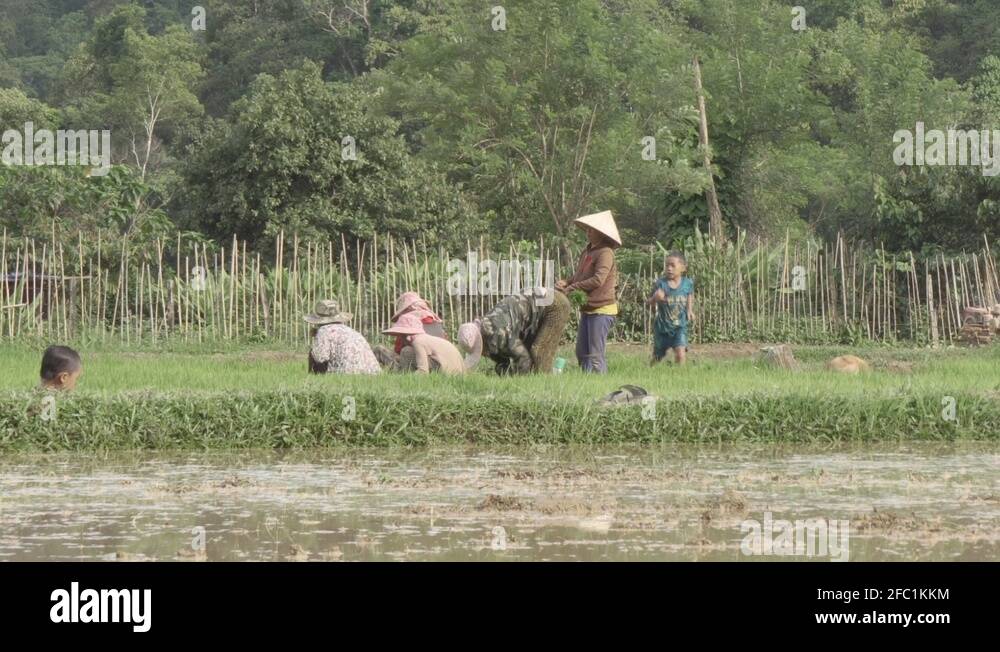Poor farming family on Stock Videos & Footage - HD and 4K Video Clips ...