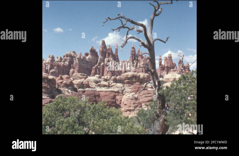 1960s: Tree in front of red Cliffs in Moab, with blue sky and clouds ...