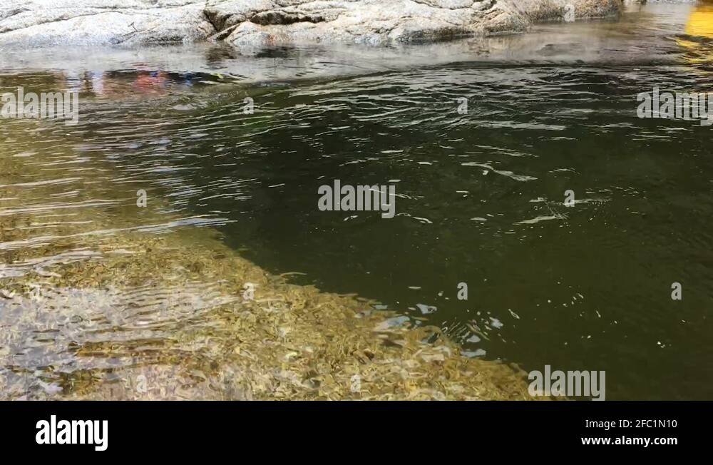 Cool water flow Stock Videos & Footage - HD and 4K Video Clips - Alamy
