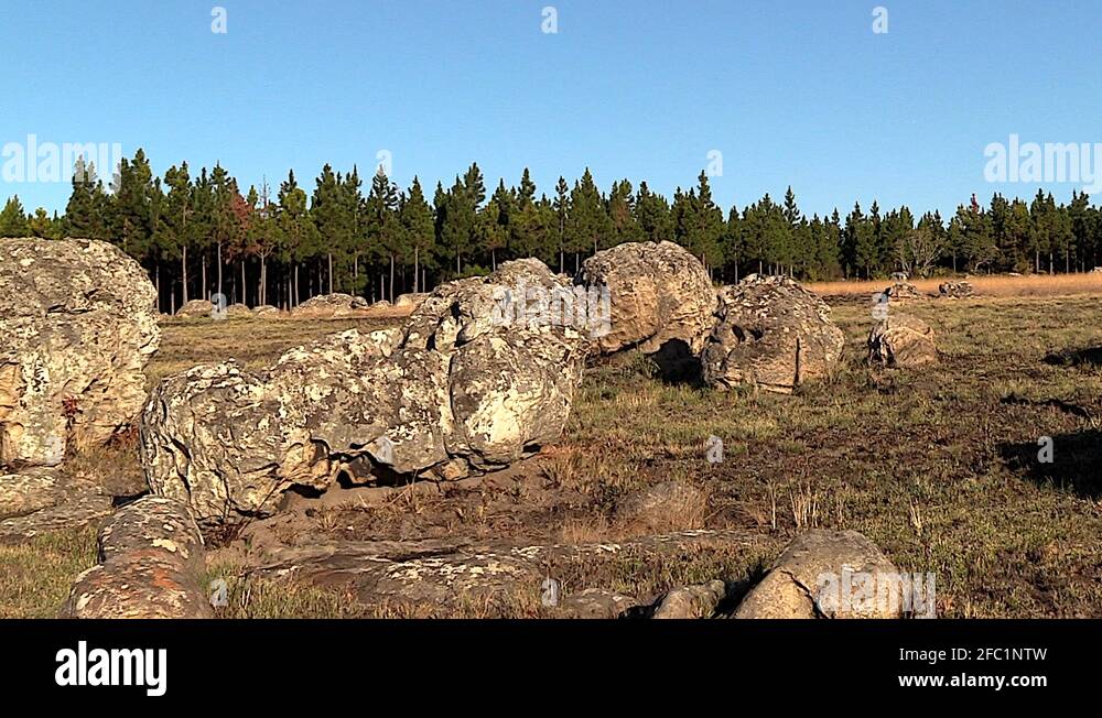 Rock formations pine tree Stock Videos & Footage - HD and 4K Video ...