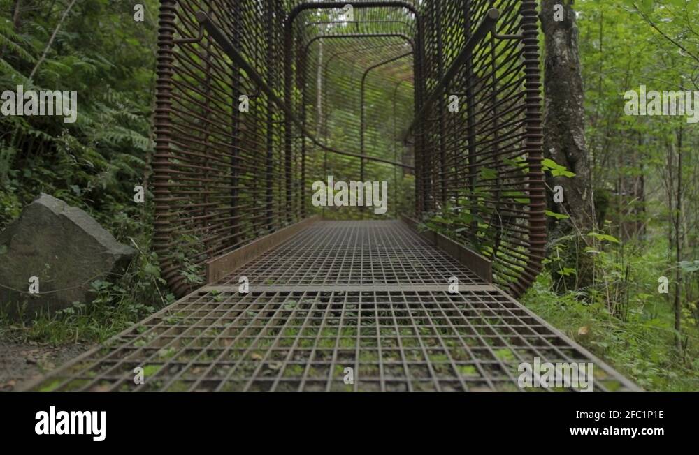 Walking through waterfall Stock Videos & Footage - HD and 4K Video ...