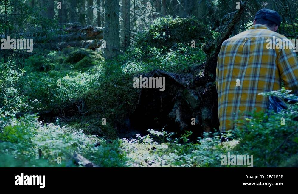 Bury a body Stock Videos & Footage - HD and 4K Video Clips - Alamy