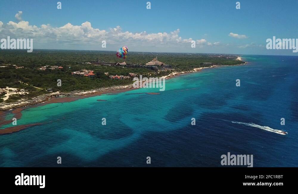 Canopy wing Stock Videos & Footage - HD and 4K Video Clips - Alamy