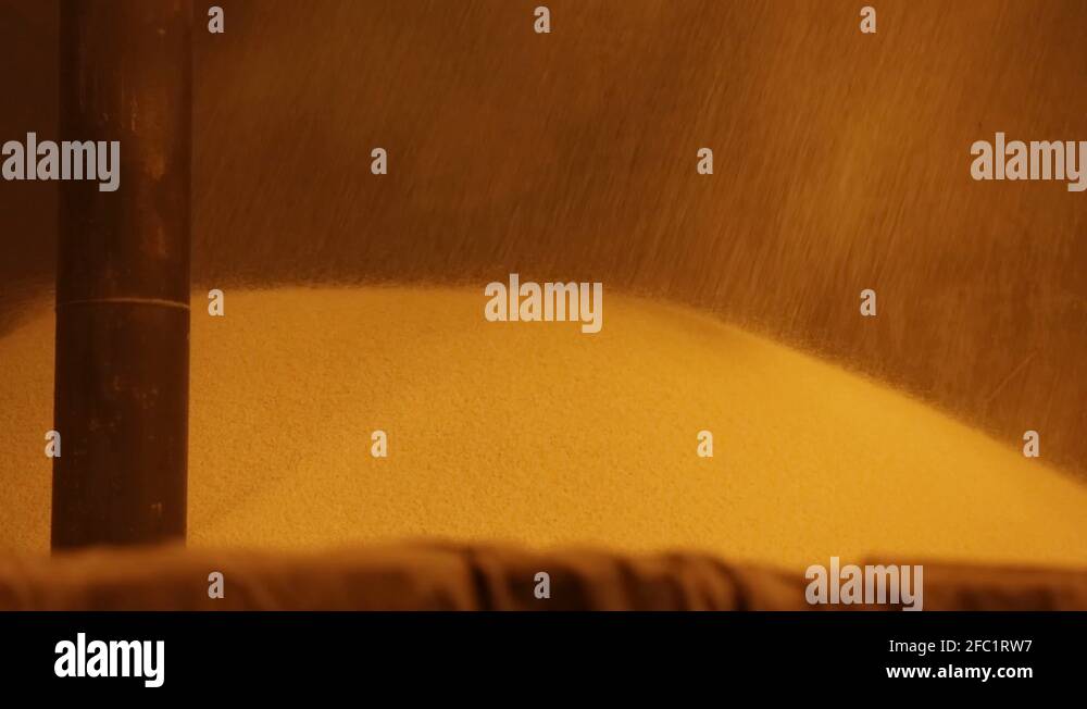 Granular structure Stock Videos & Footage - HD and 4K Video Clips - Alamy