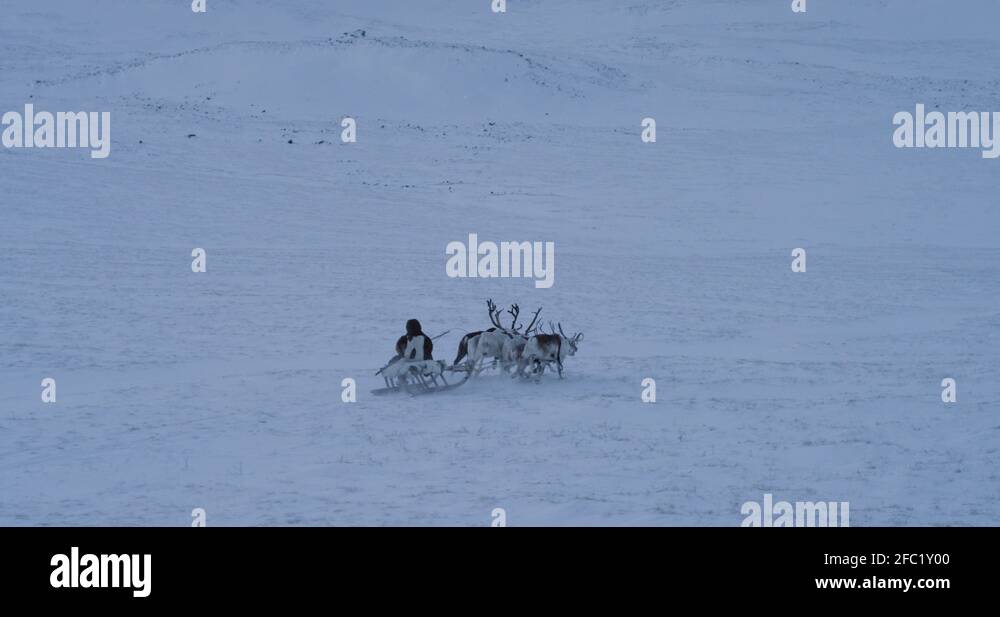 Siberian man wearing traditional clothes from fur have a ride with ...