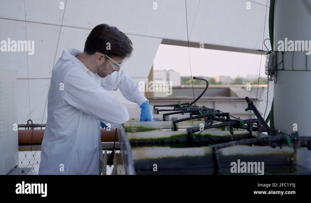 Agronomy lab Stock Videos & Footage - HD and 4K Video Clips - Alamy